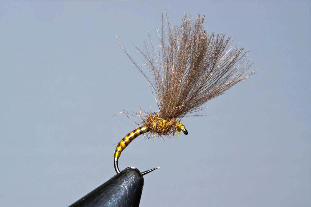 A deadly buzzer bloodworm fly. How to tie.